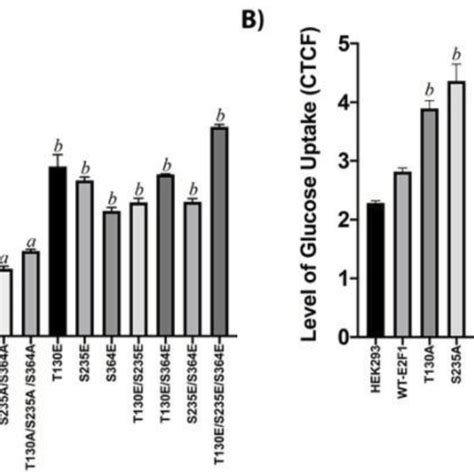 Pka Phosphorylation Site Mutants Differentially Affect Caspase