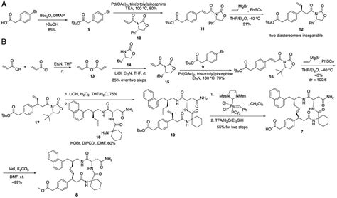 Synthesis And Structural Characterization Of A Monocarboxylic Inhibitor