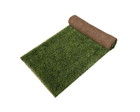 Buy Turf Rolls Online Fresh Lawn Turf Rolls Delivered Turffit