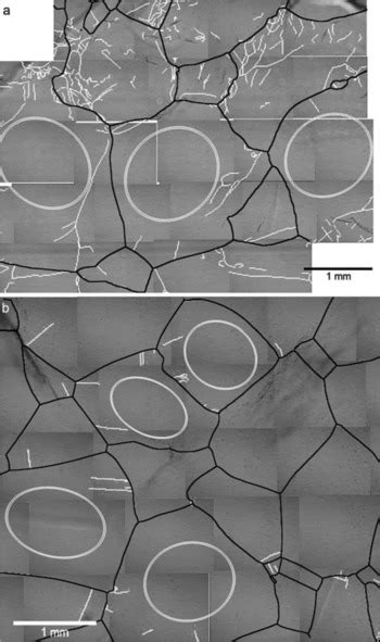 Evolution Of Ice Crystal Microstructure During Creep Experiments Journal Of Glaciology