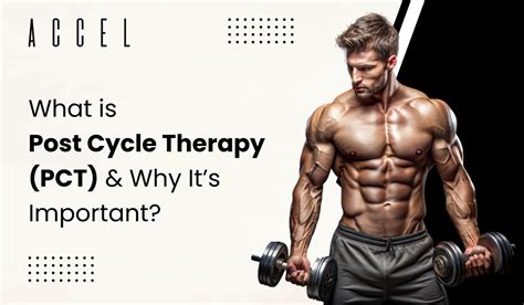 What Is Post Cycle Therapy Pct Benefits And Uses Explained