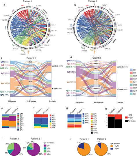 Immunoglobulin Repertoires In Bone Marrow Plasma Cells Visualization Of