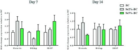 Obs Gene Expression Analysis Relative Quantification Of Gene