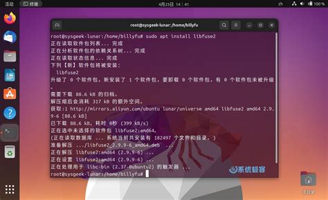 如何在 Ubuntu 中启用 AppImage 支持 系统极客