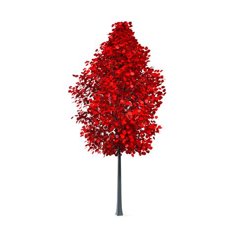 Colorful Tree Isolated On Transparent 21281386 PNG