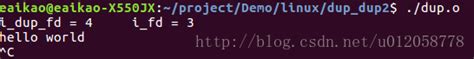 浅谈dup和dup2的用法c Dup Csdn博客