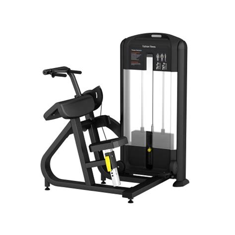 triceps extension máy khối tập tay sau tm fb28