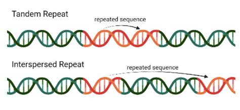 掌握研究主动权 基因组注释服务 腾讯云开发者社区 腾讯云
