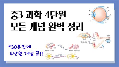 [중3 과학] 4단원 모든 개념 완벽 정리 Youtube
