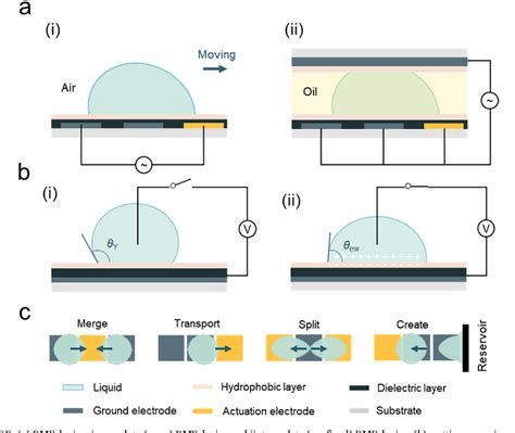 Figure 1 From Open And Closed Microfluidics For Biosensing Semantic