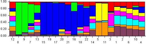 Genotypes Clustering Based On Population Genetic Structure Using The Download Scientific
