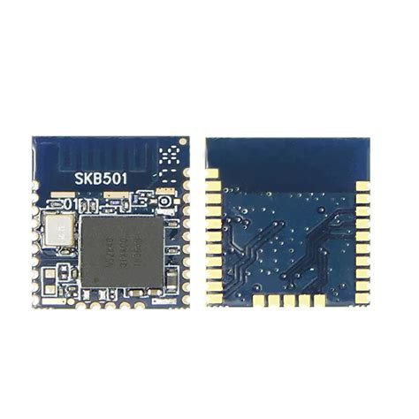 skylab ble5 ble 50 mesh nrf52 nrf52840 module keyboard bluetooth hid