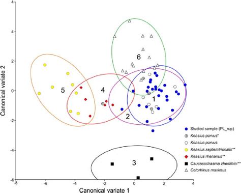 canonical variates analysis of the shape of gill rakers of european