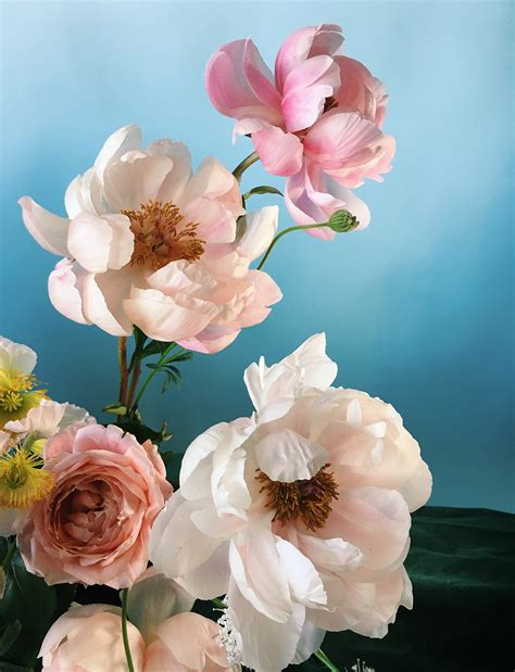 Meet The Florist Behind Instagrams Dreamiest Still Lifes Sight Unseen