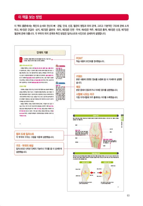 알라딘 미리보기 뼈․관절․인대․신경․혈관 촉진술의 기본
