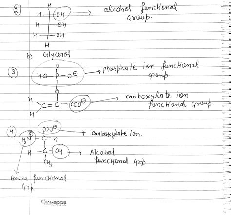 Solved Circle And Identify The Name Of Each Functional Group 1 Course Hero
