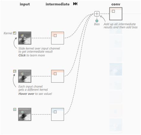 Convolutional Neural Networks Cnns Concept And Application Neuraldemy