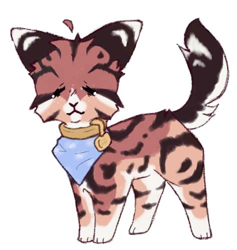 Sleepy Deprived Kitties Collection Opensea