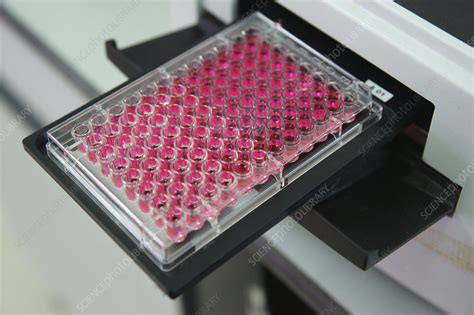 Elisa Test Plate Stock Image F0323321 Science Photo Library