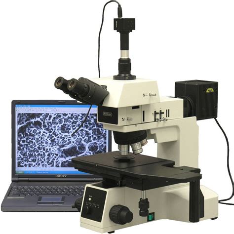 Digital Microscope Digital Microscope With Camera Latest Price Manufacturers And Suppliers