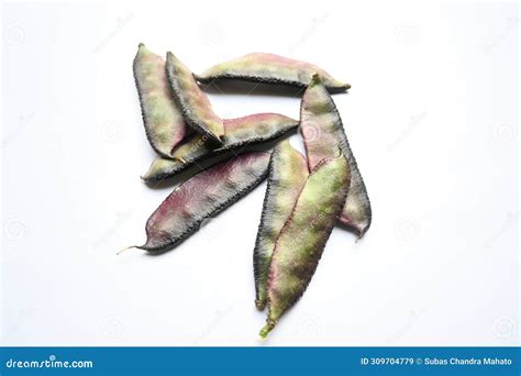 Lablab Purpureus Vegetable On White Background Stock Image Image Of