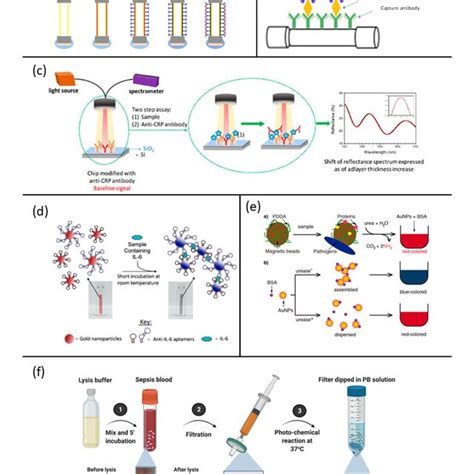Examples Of Optical Biosensor Approaches For Sepsis Diagnosis A Download Scientific Diagram