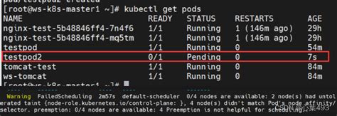 K8s(二)pod资源——node调度策略、node亲和性、污点与容忍度 K8s(二)pod资源——node调度策略、node亲和性、污点与容忍度