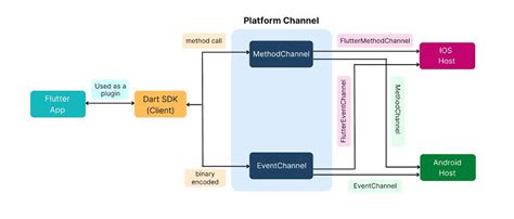 flutter dev development web saud shah
