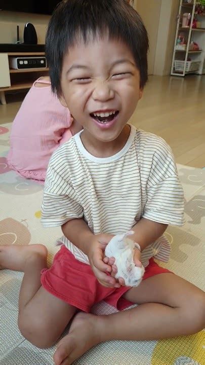 귀여운 햄스터 우리집 막내 Youtube