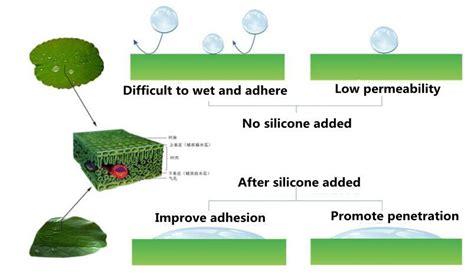 China Custom Polyether Modified Silicone Oil Suppliers Manufacturers Factory Sample Yidesai