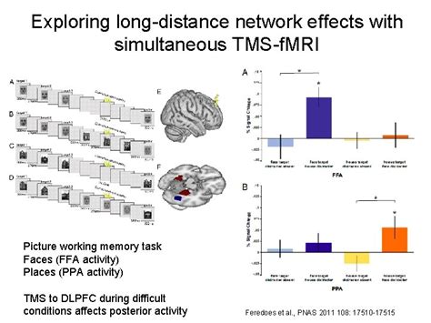 TMS As A Tool For Neuroscience Bruce Luber