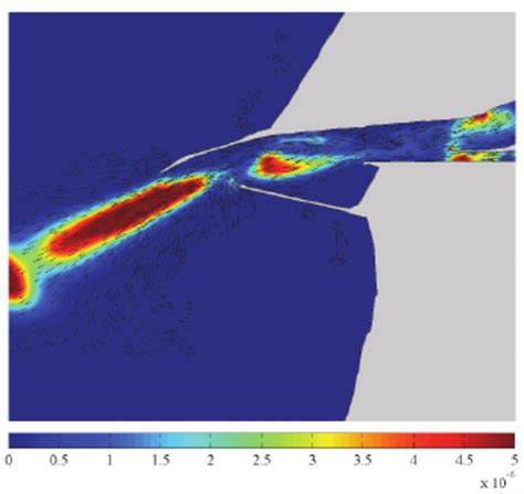 Residual Sediment Fluxes M 2 S 1 Due To The Forcing Of Tidal Download Scientific Diagram