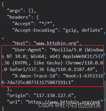 Python Requests Python Params Csdn