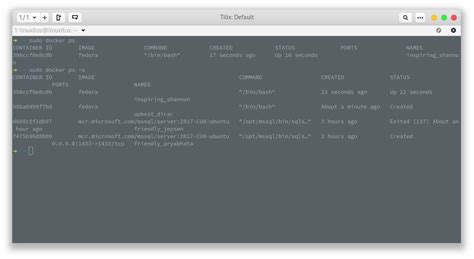 Instalar Docker Fedora 32 Linuxitos