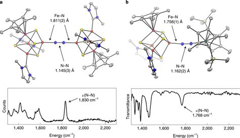 Characterization Of [mofe3s4 N2] Complexes A X Ray Crystal Structure Download Scientific