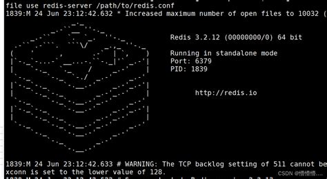 redis 启动方式 redis systemctl csdn博客