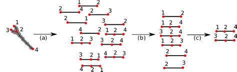 Computation Of The Tree Covering By Paths A Extraction Of Paths B