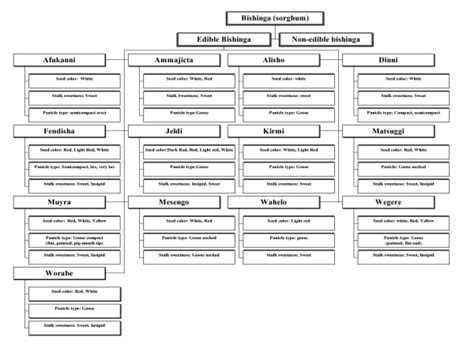 Folk Taxonomy Tree In The Lowland Ecology Download Scientific Diagram