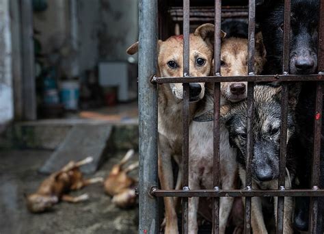 Travel Photography Fashion Photography Documentary Photography Editorial Photography And