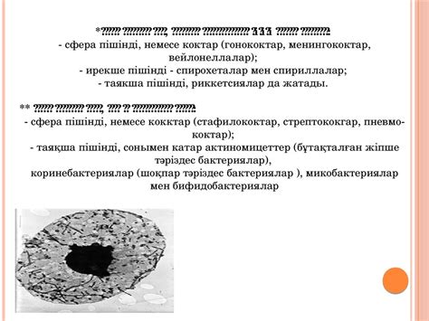 Микробиология пәні, зерттеу мақсаты, міндеттерi. Даму тарихы ...