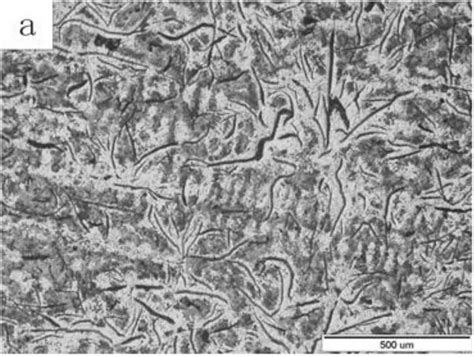Effect Of Modifier Addition On Microstructure Of High Strength Gray Cast Iron Zhy Casting