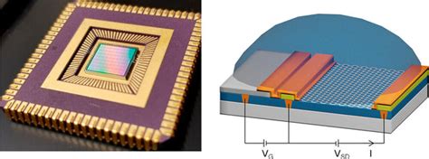 Wafer Scale Cmos Integrated Graphene Field Effect Transistor Arrays Fo