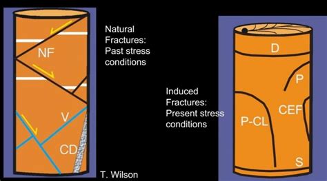 Natural And Induced Fractures In Cores 9 Download Scientific Diagram