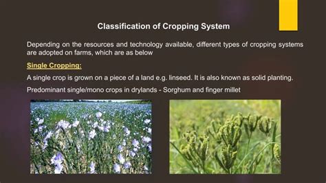 New Concepts And Approaches In Cropping Systems Pptx Agriculture Industries