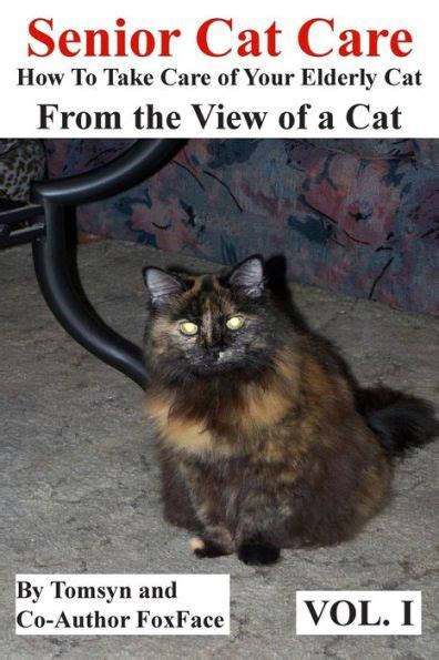 Senior Cat Care How To Take Care Of Your Elderly Cat From The View
