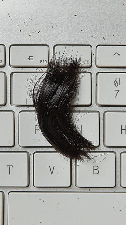 Free Hair On Keyboard Image Download At Stockcake