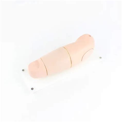 Medical Teaching Contraceptive Training Model Teaching Model And Lab Equipment