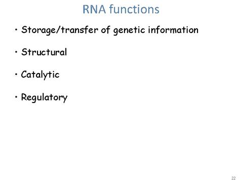 RNA Tertiary Structure Additional Motifs Of Tertiary Structure