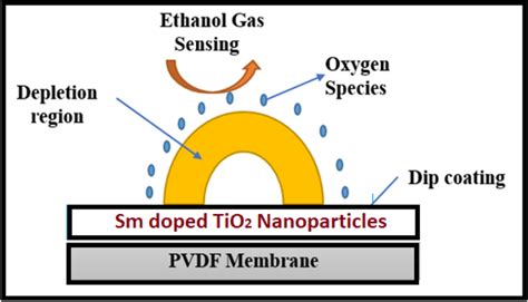 Tem Hrtem Saed And Edx Pattern Of Sm Doped Tio2 Nanoparticles Download Scientific Diagram