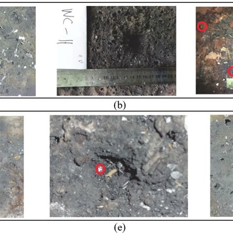 Fragment Of The Residual Projectile Red Circle From Wc 8co A C And Download Scientific